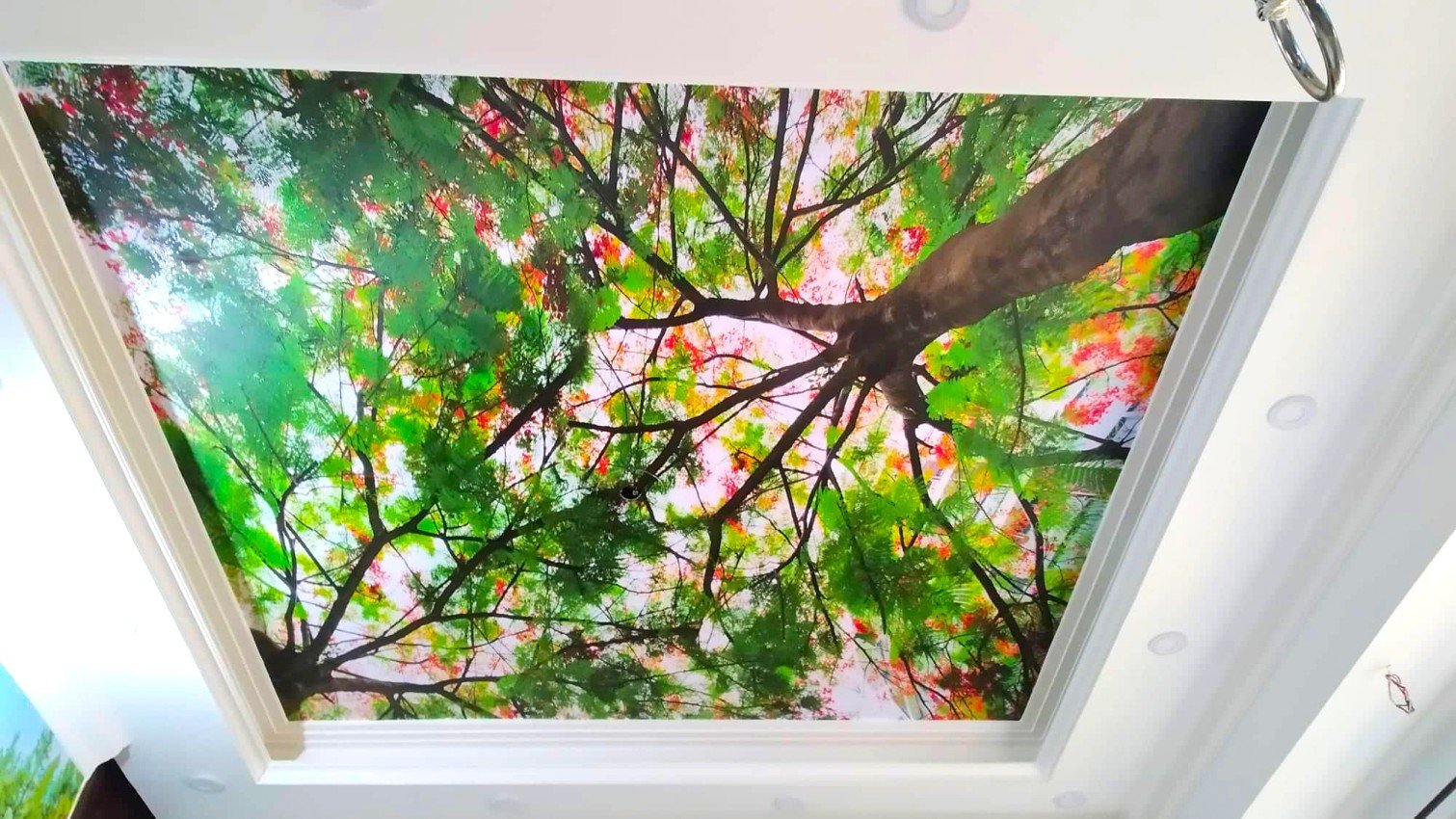 How to install 3D ceiling paper on ceiling top?